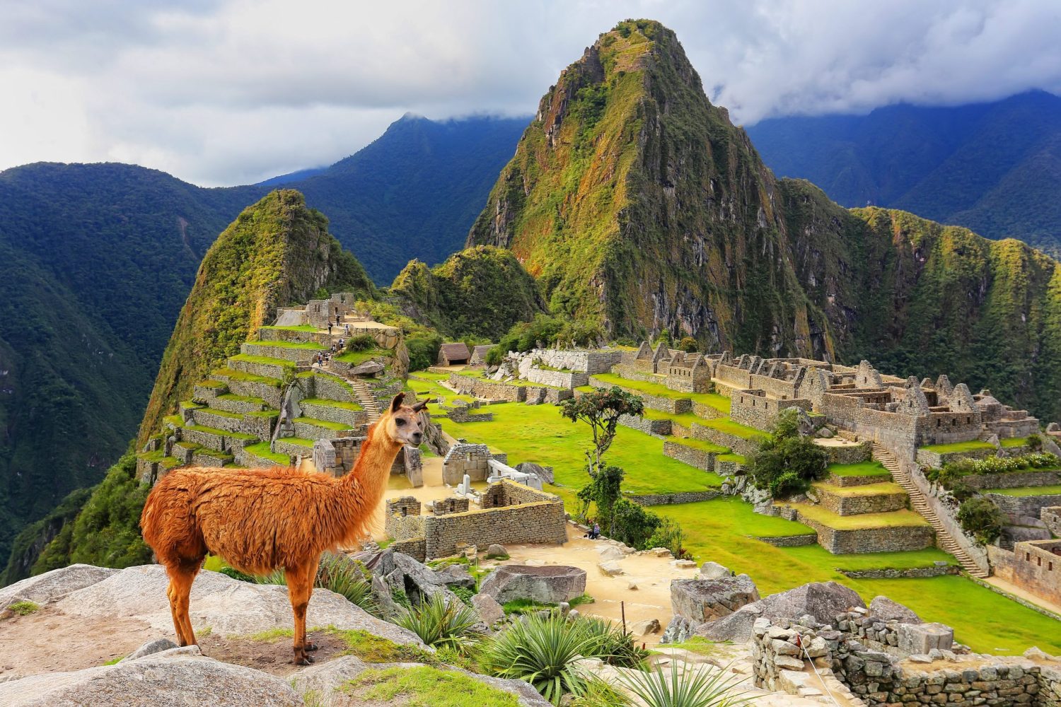 Tout sur le Machu Picchu : comment s'y rendre et que voir. Guide complet.